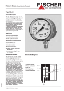 FISCHER – All Pressure Gauges Range – Advance Siam Tech Co., Ltd.